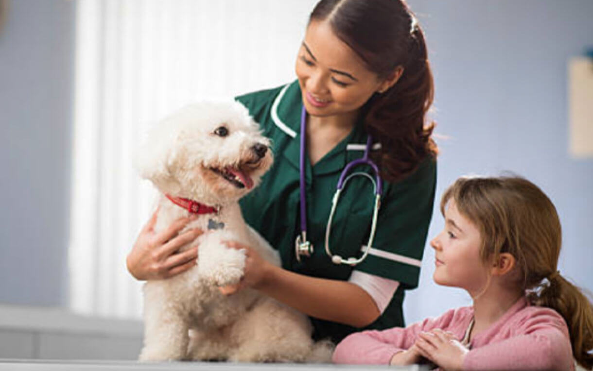 Contact Us | Crossroads Animal Hospital