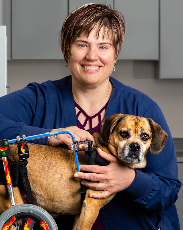 Our Veterinary Team | Crossroads Animal Hospital
