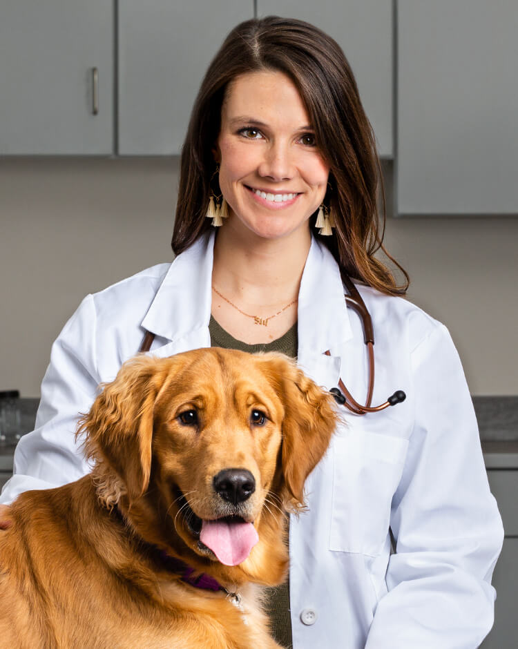 Our Veterinary Team | Crossroads Animal Hospital
