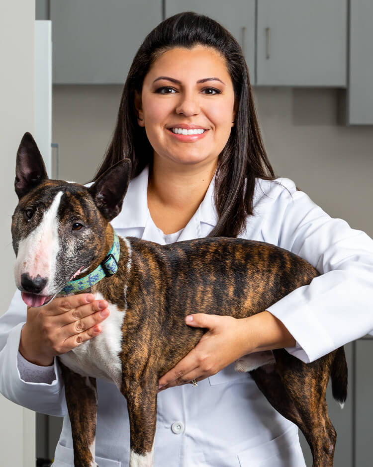 Our Veterinary Team | Crossroads Animal Hospital