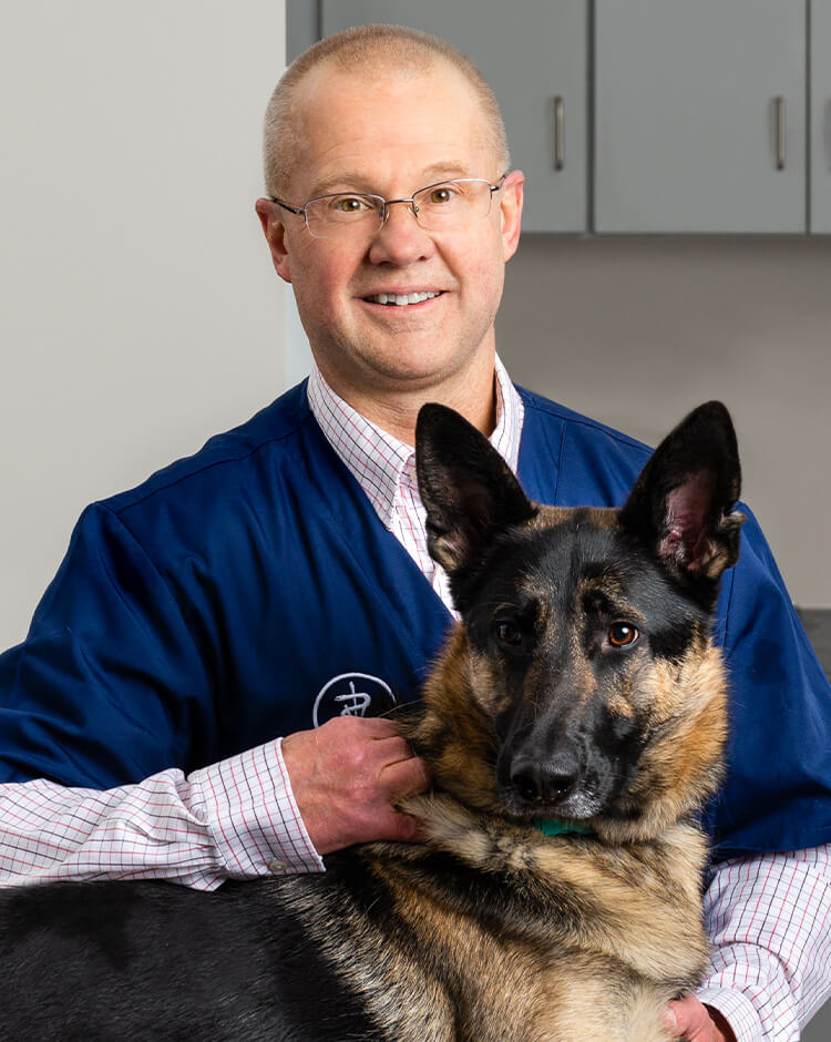 Contact Us | Crossroads Animal Hospital