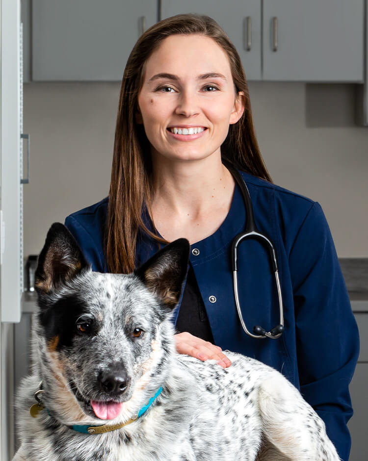 Our Veterinary Team | Crossroads Animal Hospital