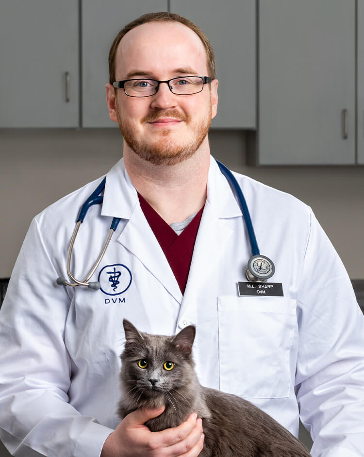 Contact Us | Crossroads Animal Hospital