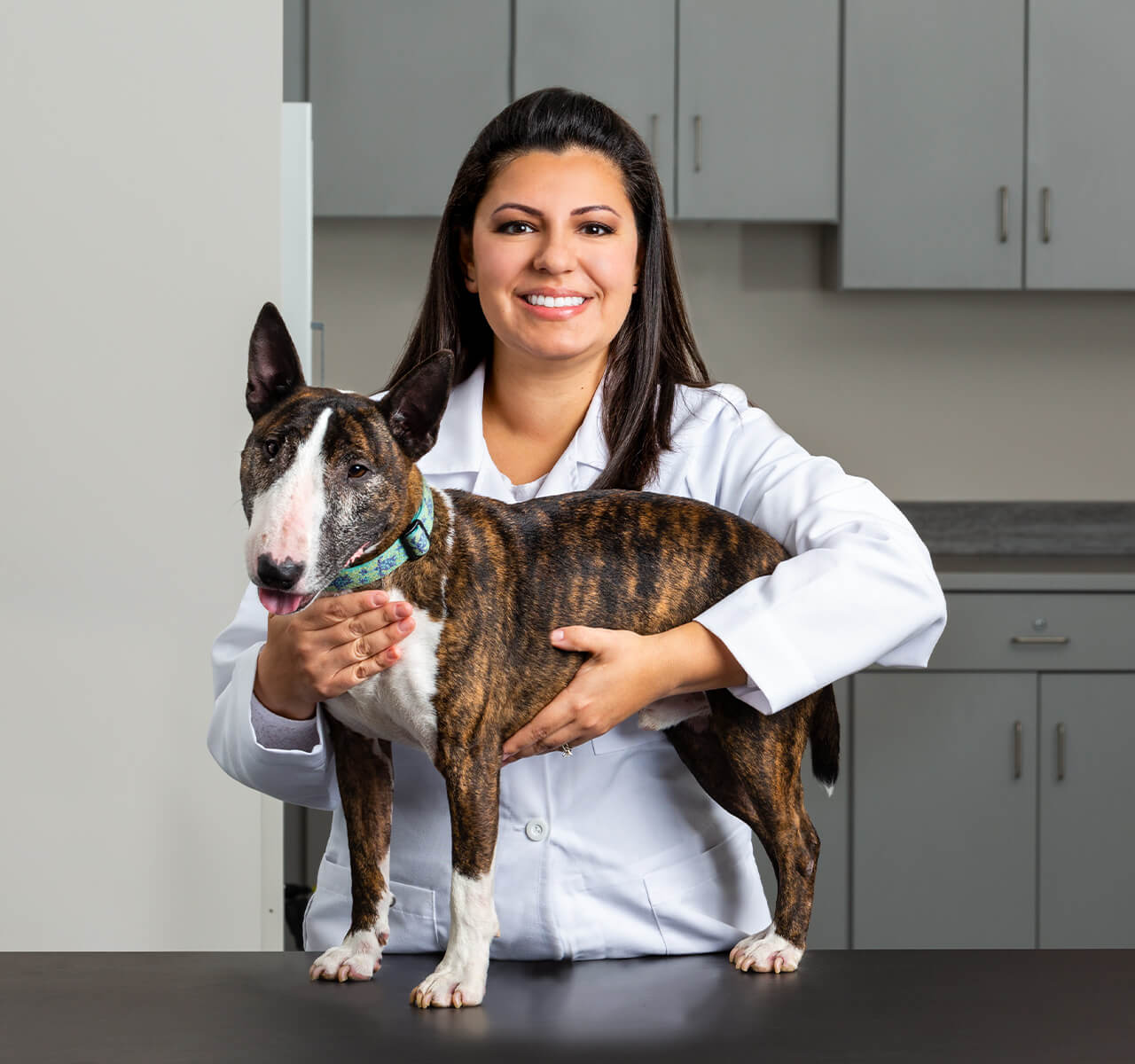 Dr. Dianna Anagnos | Crossroads Animal Hospital